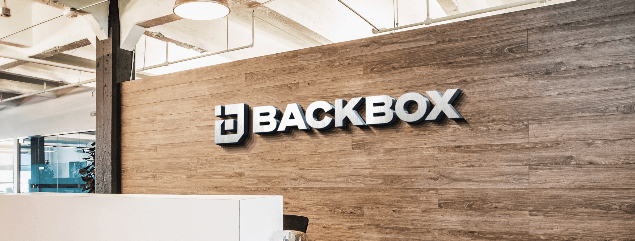 About BackBox Software, LTD